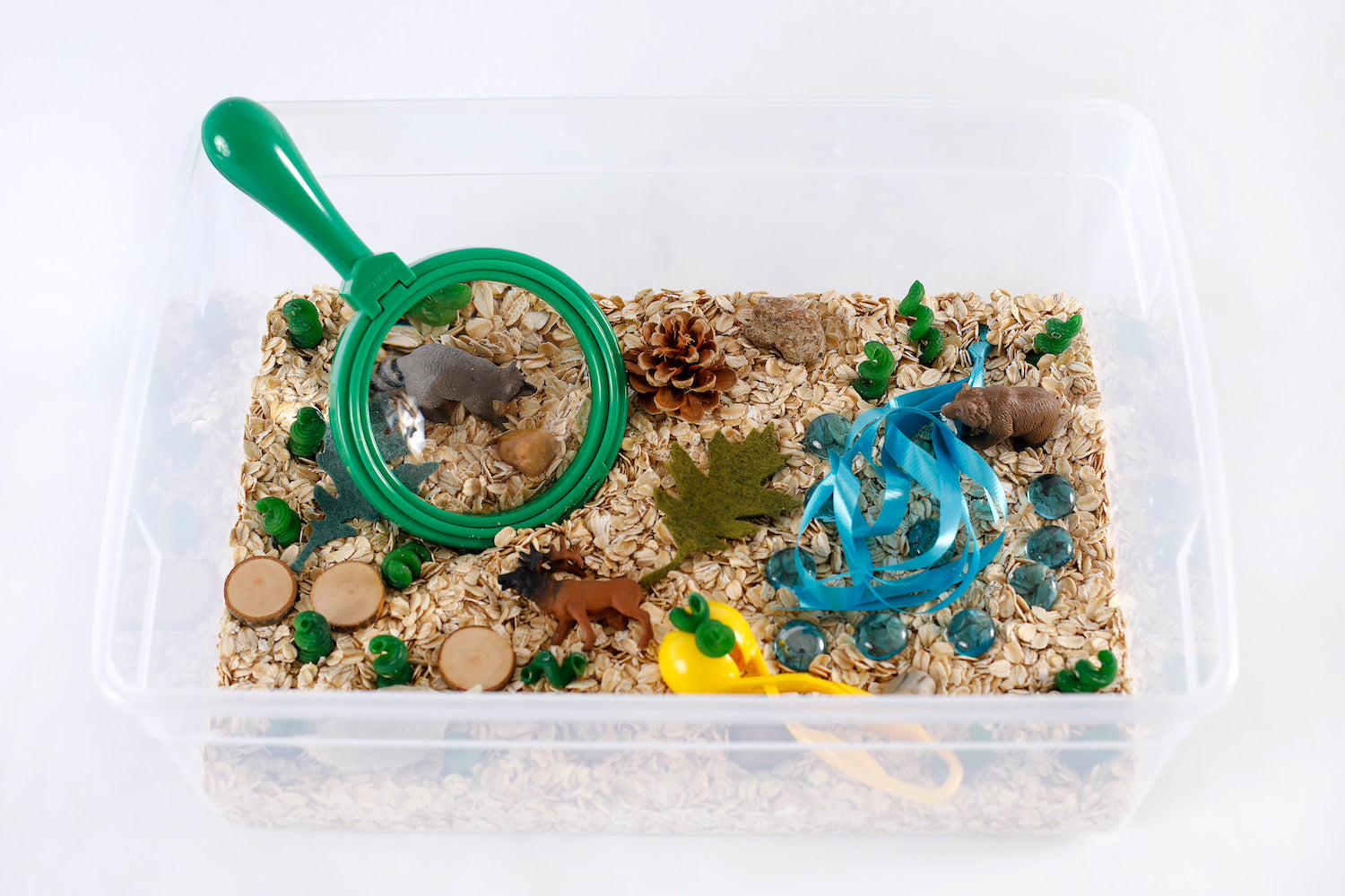 Forest Sensory Bin
