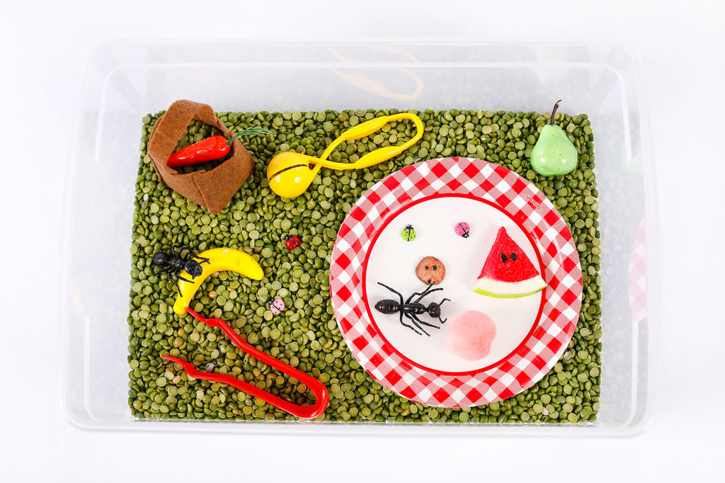 Picnic Sensory Bin – Messy Play Kits