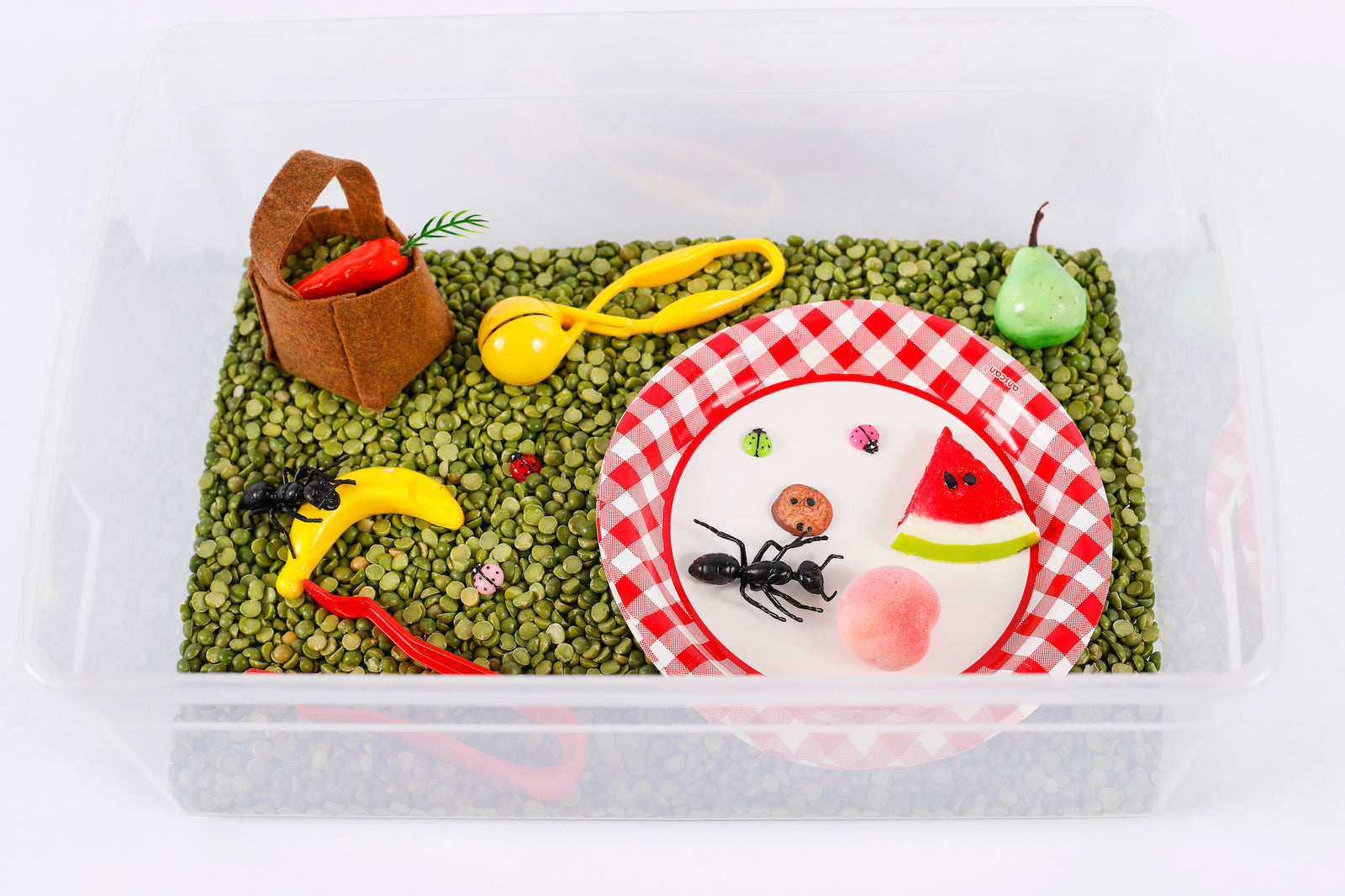 Picnic Sensory Bin